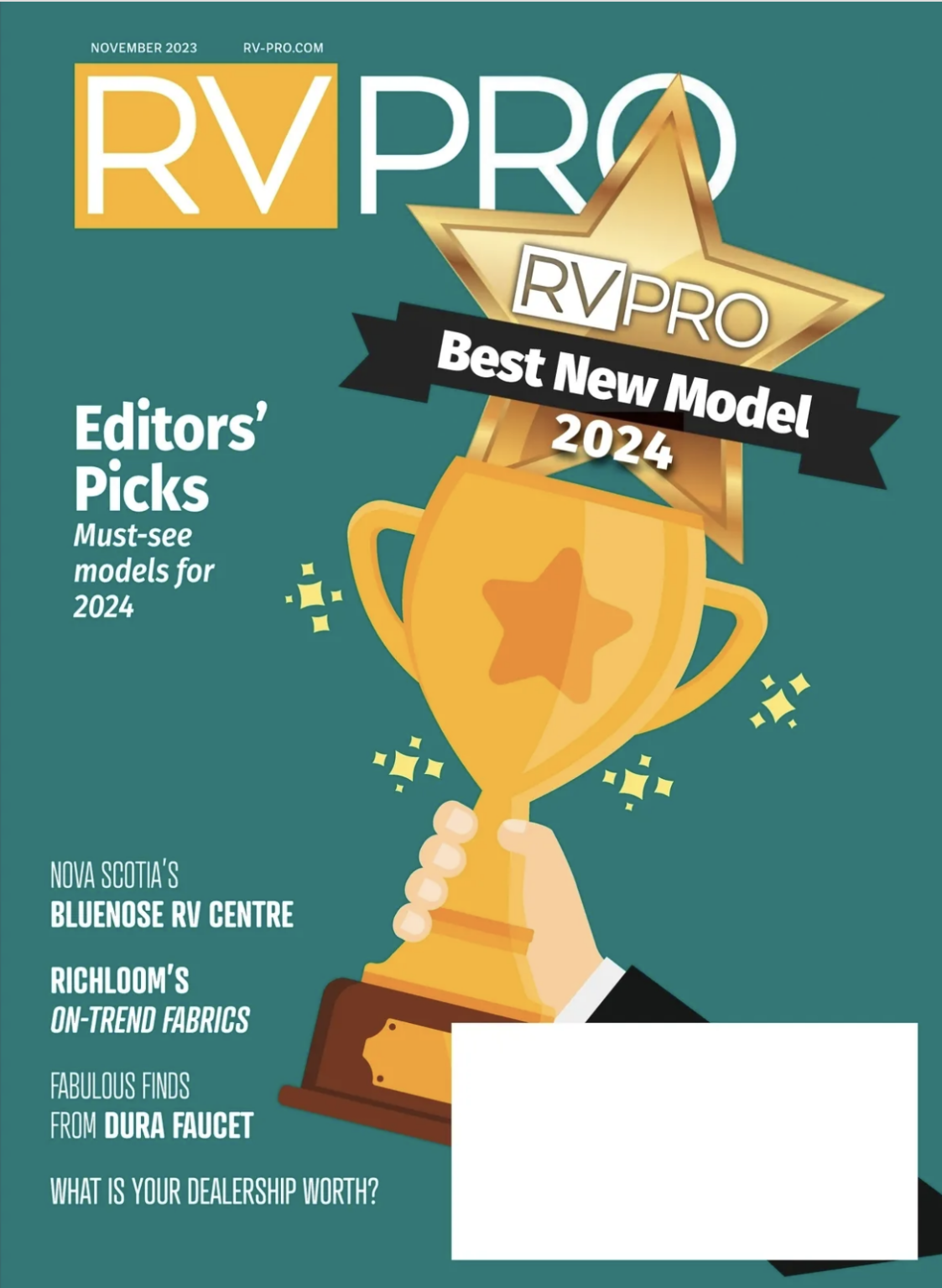 Issues – RV PRO