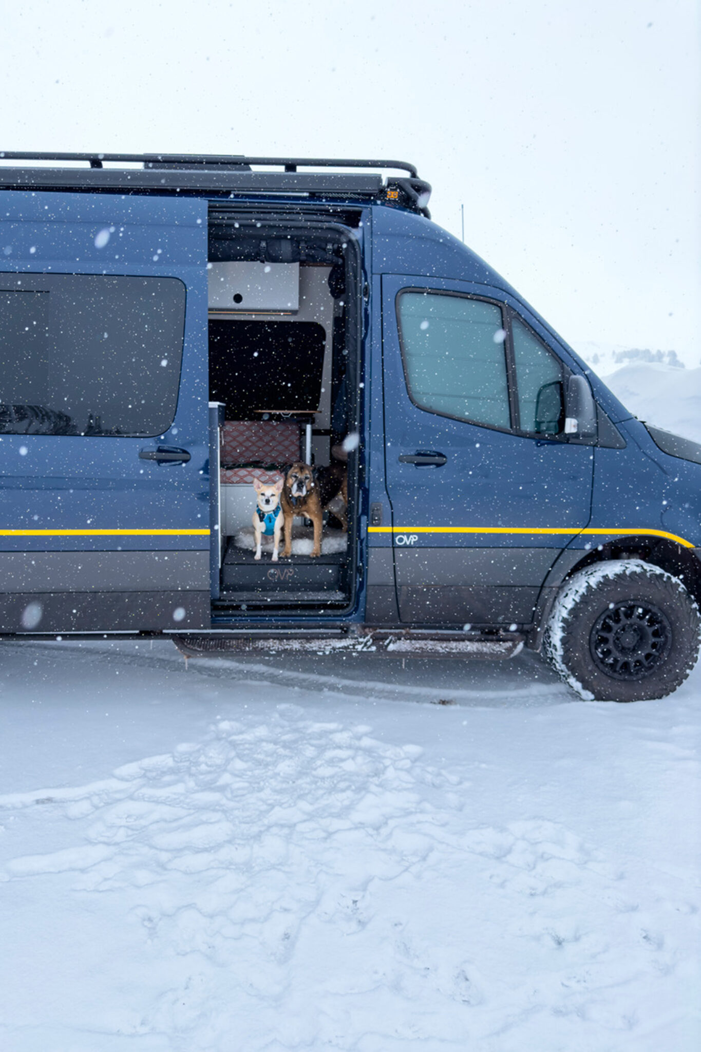 Van-Lifers Explain How They Embrace Life on the Road – RV PRO