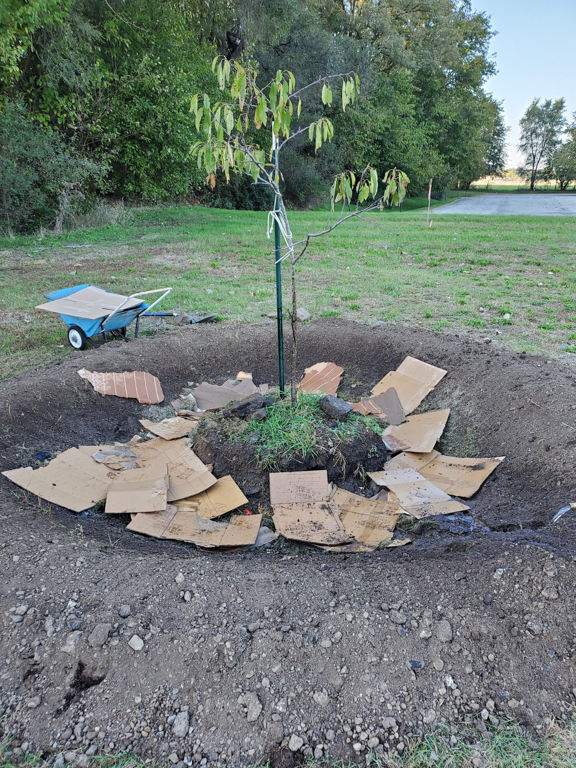 Follow That Rabbit! - RV PRO